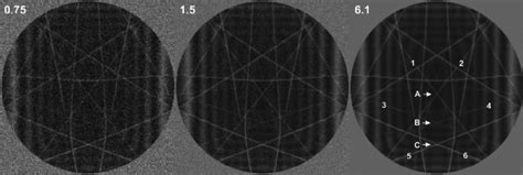 Set Of Simulated Cbed Patterns With Different Amounts Of Applied Noise Download Scientific