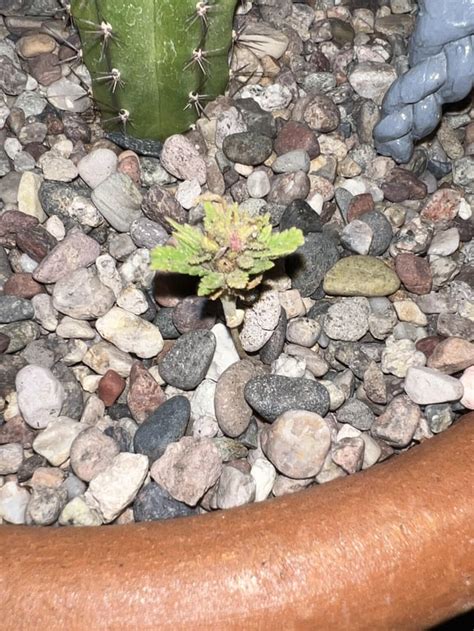 Ive Traveled Far From Micro Sent To Nano Then Pointed To Pico And Here I Am Now Femto R