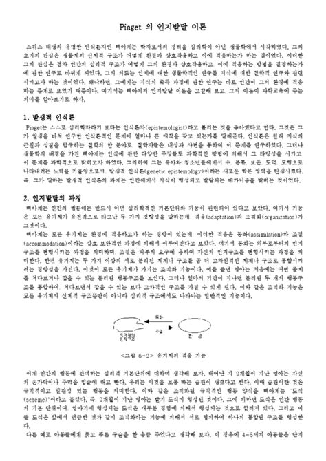 Piaget 피아제 의 인지발달 이론 사회과학