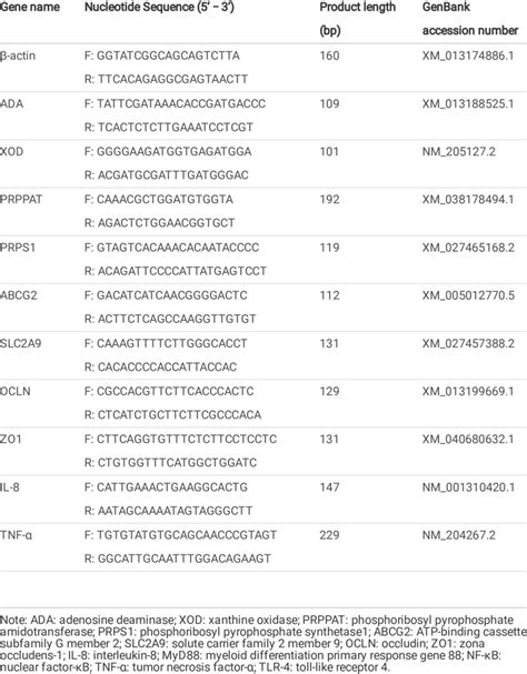 Primer Sequences For Real Time Quantitative Pcr Download Scientific Diagram