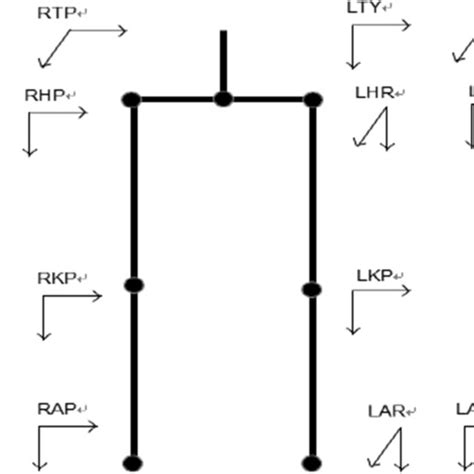 the first order length linear inverted pendulum model for the lateral