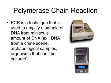 ppt python programming on pcr primers design powerpoint presentation