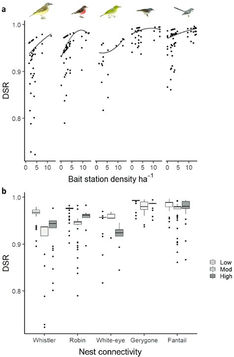 Daily Nest Survival Rate Dsr For Five Forest Songbird Species Endemic