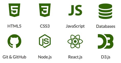 Responsive Web Design Projects How To Build A Survey Form