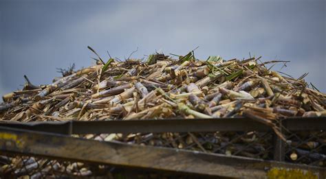 Cane Molasses In Granular Detail Ragus