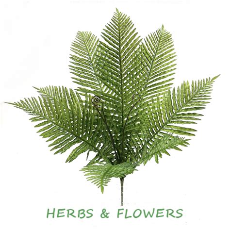 Папоротник Флебодиум куст 80 см купить искусственные Ампельные растения в Москве с доставкой