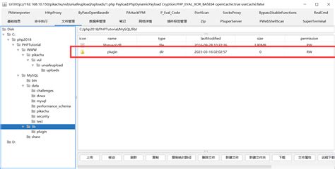 Windows权限提升—mysql数据库提权 Adm8nの知识库