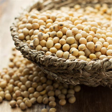 Soybean ⋆ Vertikit