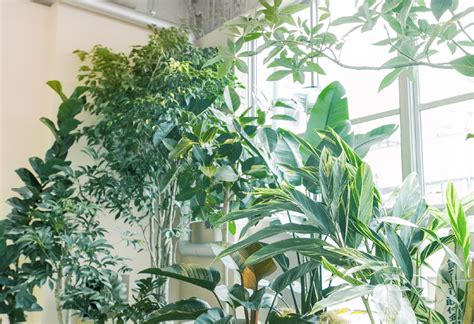 Company 株式会社imom（イムオム）