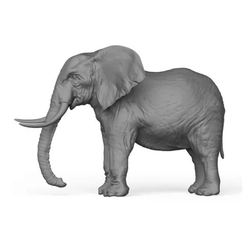 3d Printable Elephant 3d Printing Model Threeding