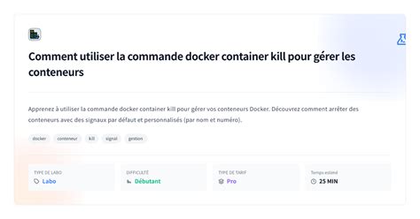 Commande Docker Container Kill Guide Complet Pour Gérer Les Conteneurs Labex
