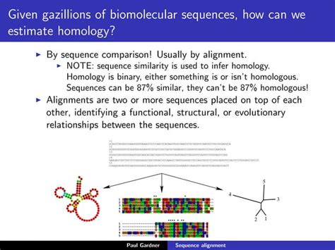 Biol335 Sequence Alignment Ppt