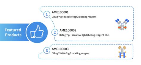 Dual Function Reagent For Adc Screening Evaluating Internalization And Cytotoxicity In One Step