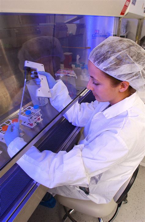 High Tech Clues King S Ridge Veterinary Clinic