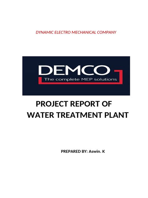 project report pdf