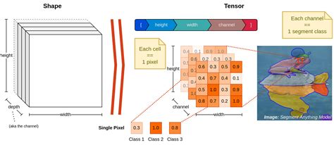 Above A Diagram Explaining How The Output Of An Image Segmentation Model Is Formatted See