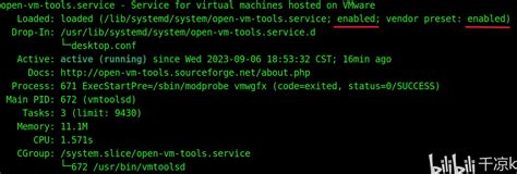 Ubuntu下设置共享文件夹及open Vm Tools安装 哔哩哔哩