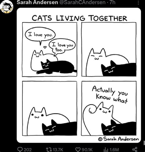 Sarah Andersen Cats Living Together Sarah Andersen Ifunny