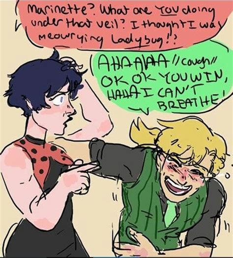 Pin By Erml On Other Miraculous Stuff Miraculous Ladybug Comic