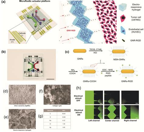 The Hydrogel Based Electroresponsive Microfluidic Actuator Platform Download Scientific
