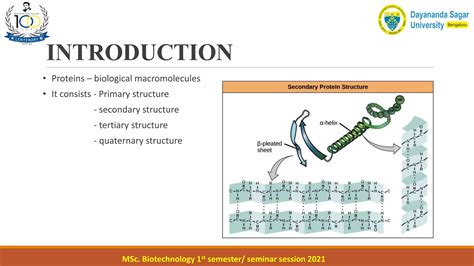 Types Of Secondary Structure And Super Secondary Structure Of Protein