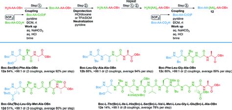 Representative Examples Of Liquid Phase Peptide Synthesis Through Acyl Download Scientific