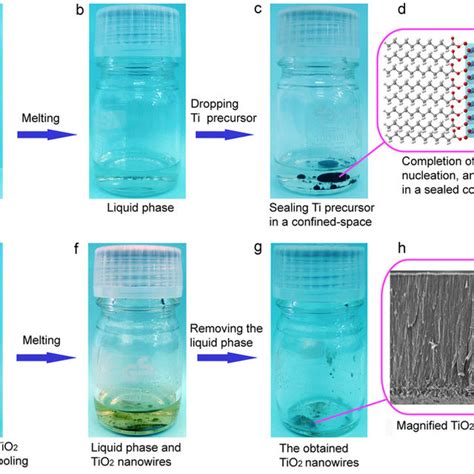 Schematic Illustration For The Confined Space Synthesis Of Tio2 Download Scientific Diagram