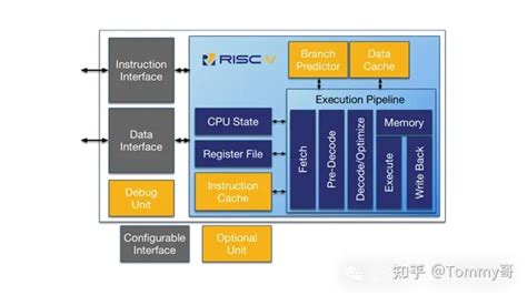 Risc V与arm最全面的对决 知乎