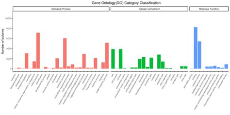 Isoform Sequencing Full Length Transcript Sequencing Novogene