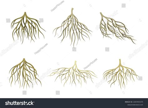 Branching Root Tree Part Below Surface Stock Vector Royalty Free Shutterstock