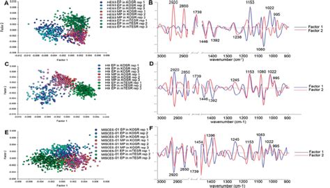 A Pls Da Scores Plots From The Analysis Of The Spectral Data From The