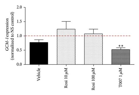 Effect Of Ppar γ Downregulation On Gene Expression Following Treatment