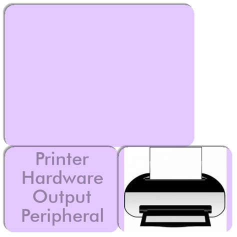 Computer Hardware Software Basics Match The Memory
