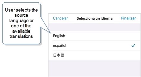 Introduction To Multi Language Forms