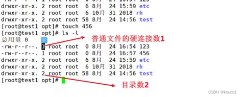Linux基础：操作系统、shell、命令及硬软连接详解 Csdn博客