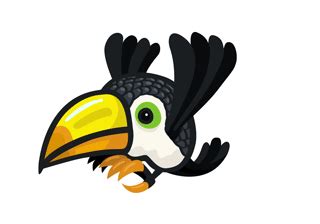 Mymba Paraguái Flashcards Quizlet