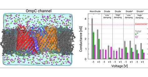 Computational Modeling Of Ion Transport In Bulk And Through A Nanopore Using The Drude
