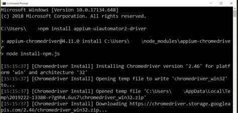 Appium Architecture TestingDocs