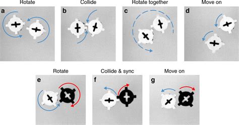 Typical Collision Between Equal And Opposite Rotors Collision Sequence Download Scientific