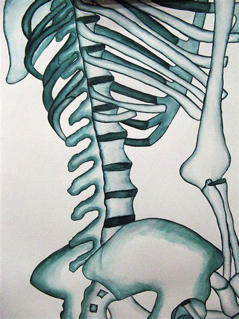 Assignment Draw A Section Of A Skeleton And Render It With Brush And