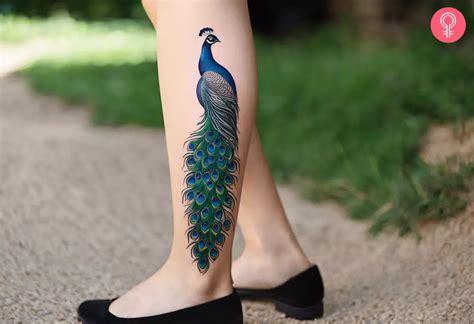 8 Amazing Peacock Tattoo Ideas With Pictures