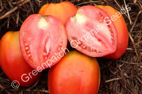 Amish Paste Tomato Seed Greenpatch Organic Seeds