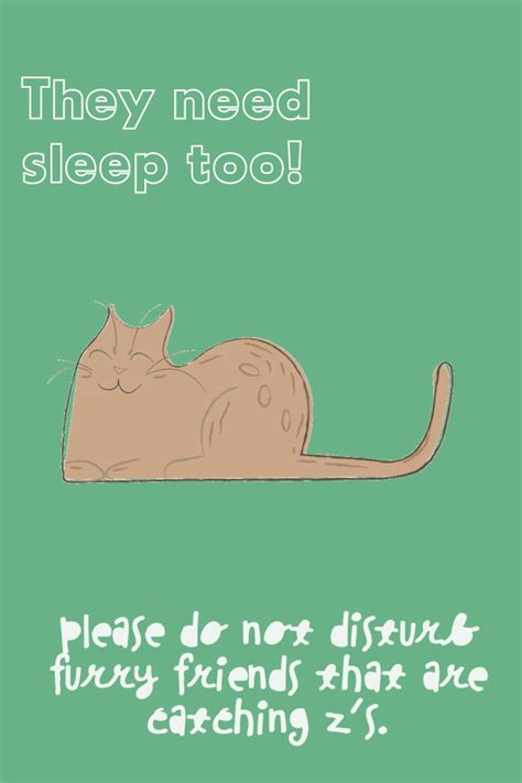 The Campus Cat Effect Behance