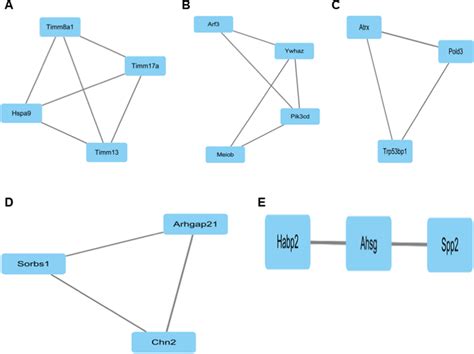 cluster network of the degs degs differentially expressed genes
