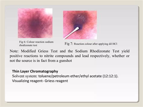 Gunshot Residue Forensic Analysis And Interpretation Ppt 03 Ppt