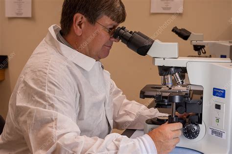 Laboratorian Using Microscope Stock Image C050 4020 Science Photo Library