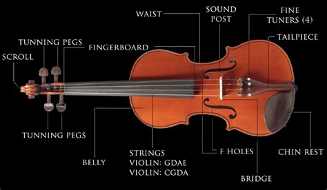 The Fiddle School Missoula Montana Master Fidldler Ellie Nuno