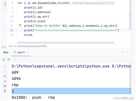 Python中capstone实现反汇编可执行文件capstone Python Csdn博客