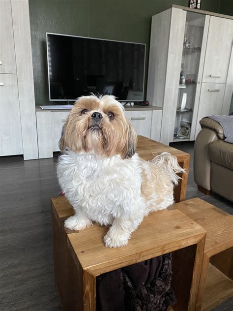 626 Eec97 1 A63 45 D3 Bba1 22 F08 Ae1 D77 A — Postimages