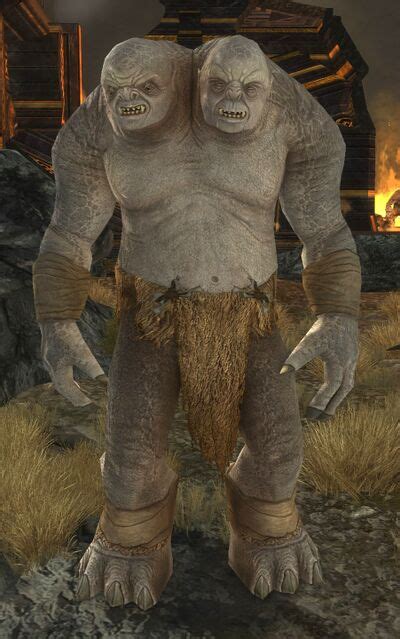Two Headed Troll Lotro